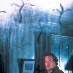 O Mistério da Libélula - Filme 2002 - AdoroCinema