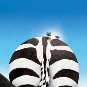 Deu Zebra! - Filme 2005 - AdoroCinema