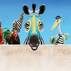 Deu Zebra! - Filme 2005 - AdoroCinema