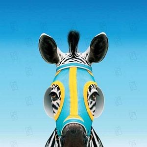 Deu Zebra! - Filme 2005 - AdoroCinema