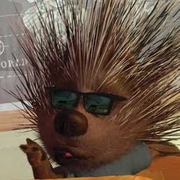 O Galinho Chicken Little : Fotos e Pôster - AdoroCinema