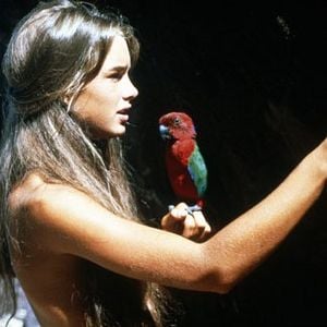 A Lagoa Azul - Filme 1980 - AdoroCinema