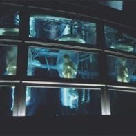 O Sexto Dia - Filme 2000 - AdoroCinema