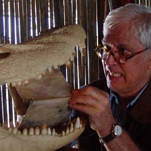 Tainá - A Origem - Filme 2011 - AdoroCinema