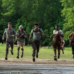Maze Runner - Correr ou Morrer - Filme 2014 - AdoroCinema