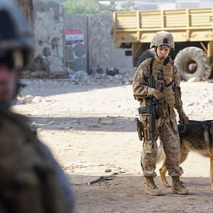 Megan Leavey - Filme 2017 - AdoroCinema