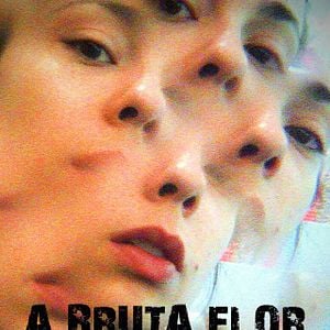 A Bruta Flor do Querer : Fotos e Pôster - AdoroCinema