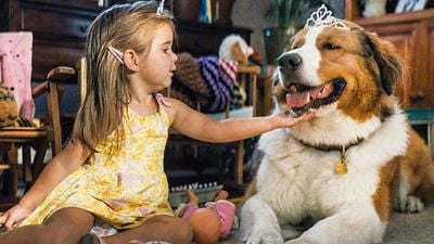 13 Sentimentos - Filme 2024 - AdoroCinema