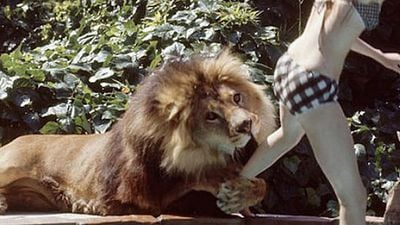 Anaconda - Filme 1997 - AdoroCinema