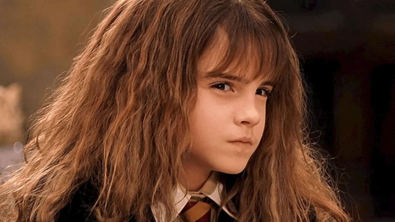 A maior história de Hermione nunca foi contada nos filmes: Série de ...