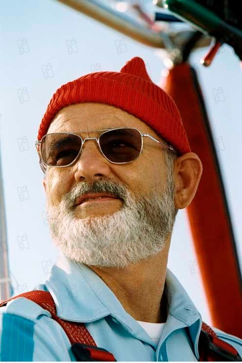 Foto de Bill Murray - A Vida Marinha com Steve Zissou : Fotos Bill ...