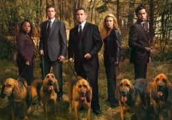 Without a Trace - Série 2002 - AdoroCinema