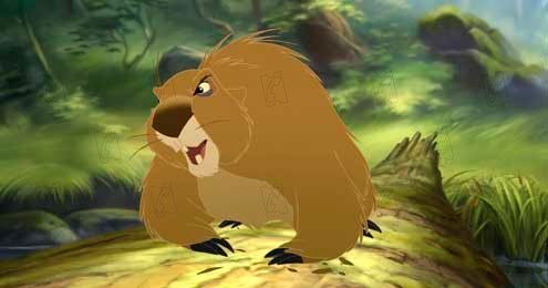 Foto de Brian Pimental - Bambi 2 - O Grande Príncipe da Floresta ...