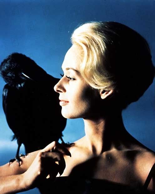 Foto do filme Os Pássaros - Foto 31 de 41 - AdoroCinema
