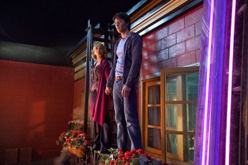 Smallville : Fotos Allison Mack - 532 no 688 - AdoroCinema