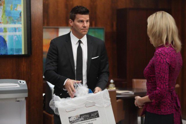 Bones : Bones : Fotos David Boreanaz - 580 no 633 - AdoroCinema