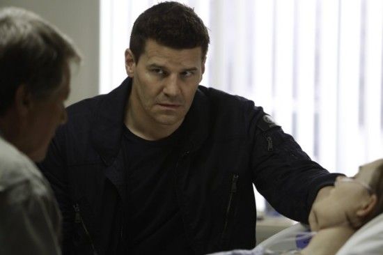 Bones : Bones : Fotos David Boreanaz - 523 no 633 - AdoroCinema