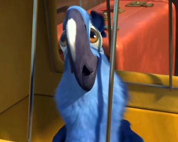 Rio Trailer (3) Original - AdoroCinema