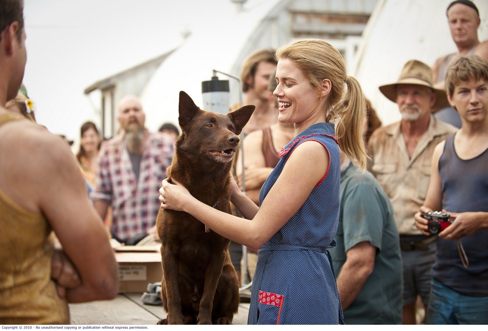 Foto do filme Red Dog - Foto 6 de 11 - AdoroCinema