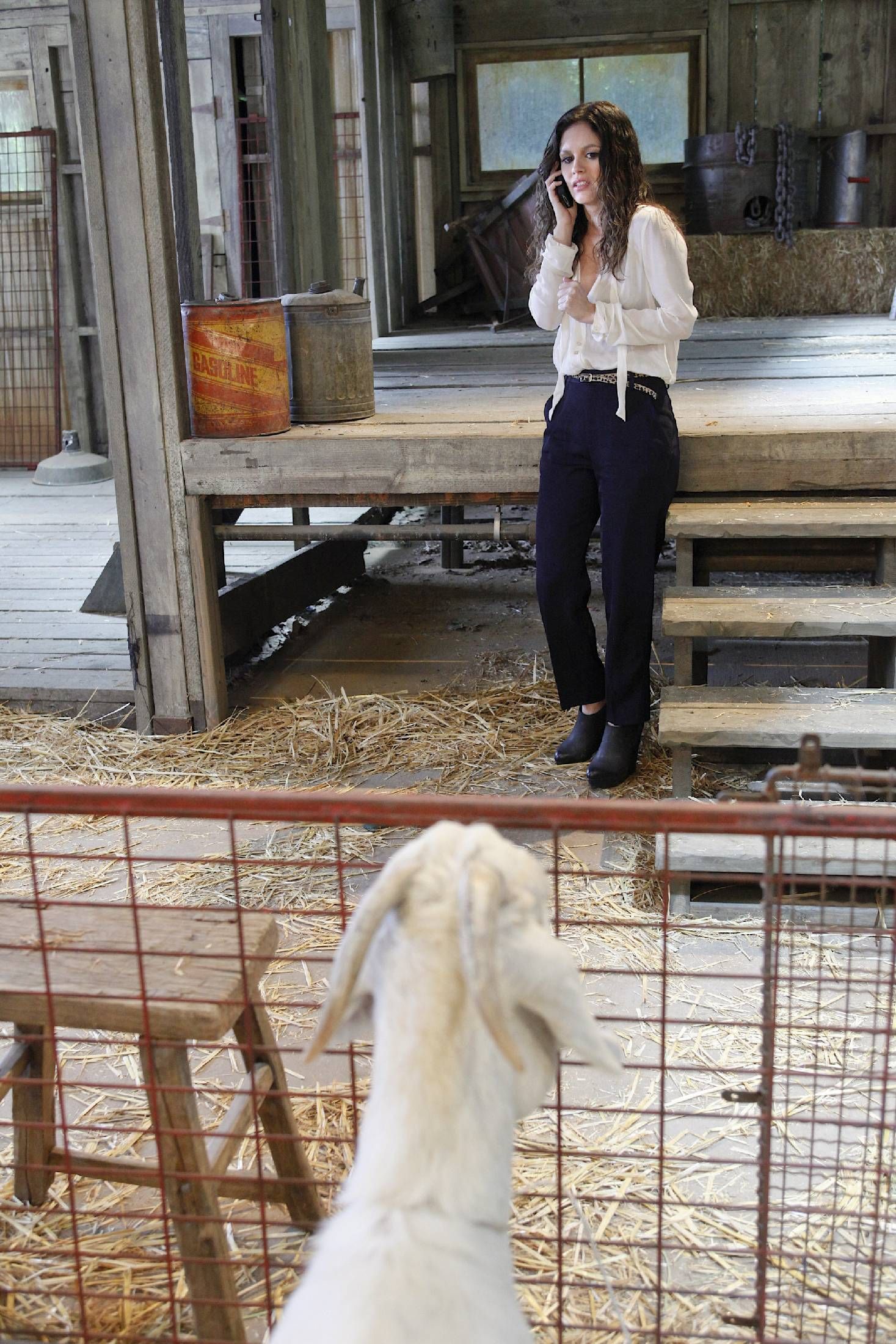 Hart of Dixie: Foto Rachel Bilson - 272 no 282 - AdoroCinema
