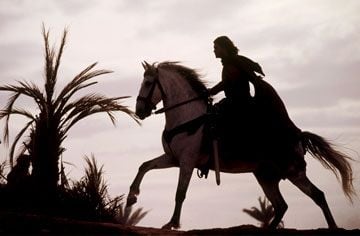 Foto do filme Cruzada - Foto 24 de 32 - AdoroCinema