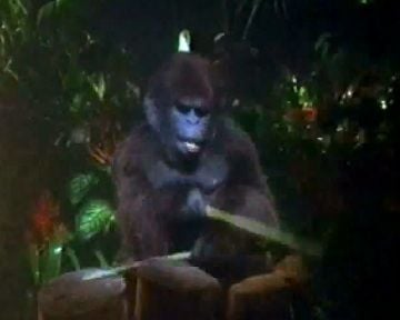 Trailer do filme George, o Rei da Floresta - George, o Rei da Floresta ...