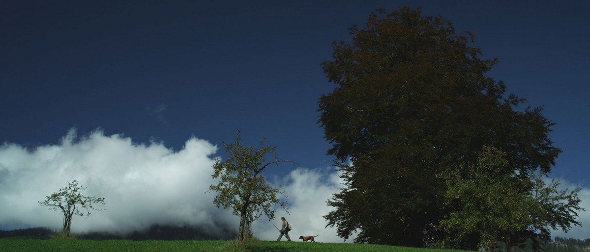 Foto do filme Die Wand - Foto 15 de 46 - AdoroCinema