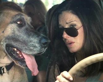 Trailer do filme As Bem-Armadas - As Bem-Armadas Trailer (2) Original - AdoroCinema