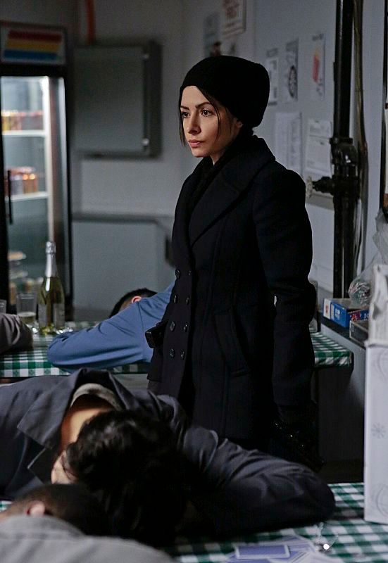 Person Of Interest : Person Of Interest : Fotos Sarah Shahi - 266 no ...