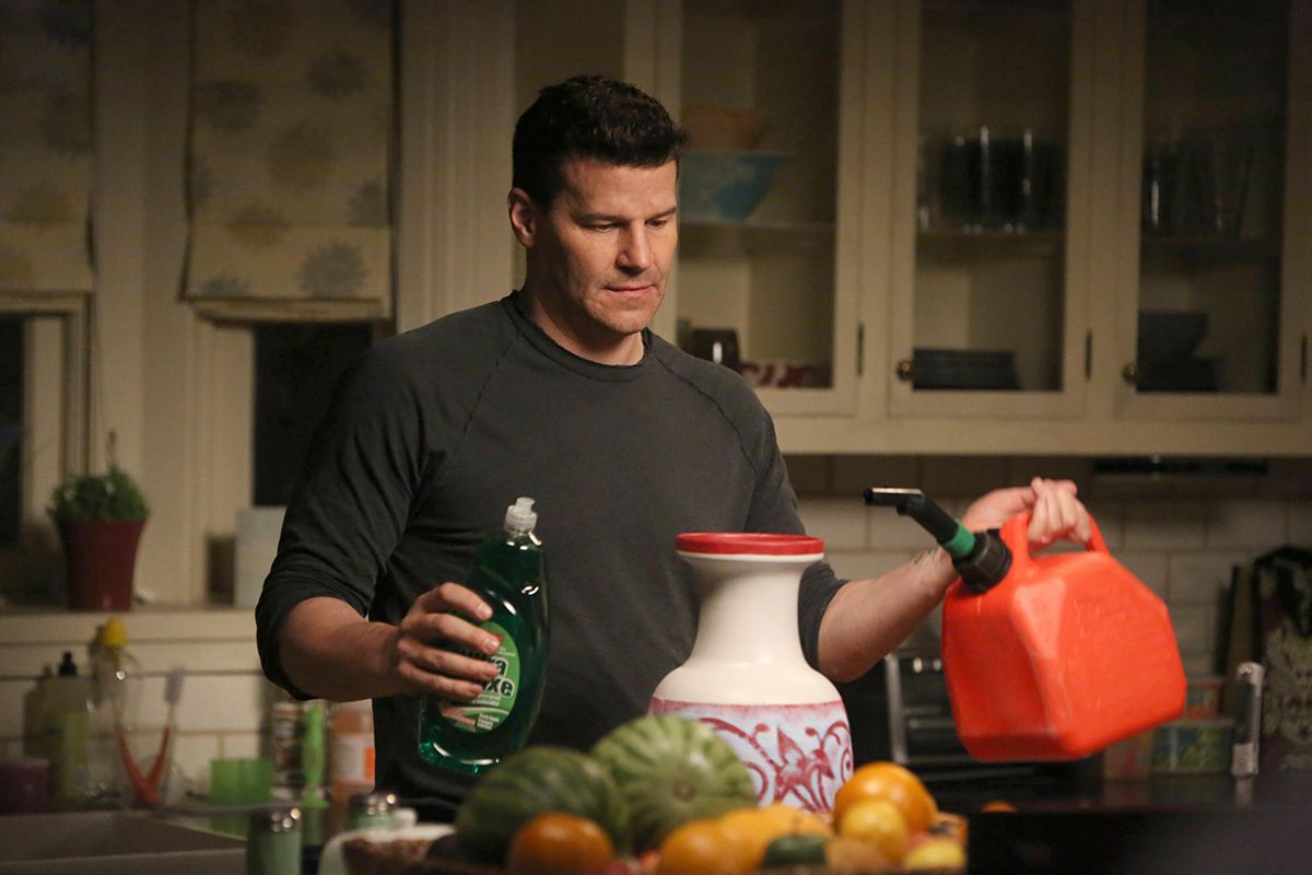 Bones : Bones : Fotos David Boreanaz - 212 no 633 - AdoroCinema