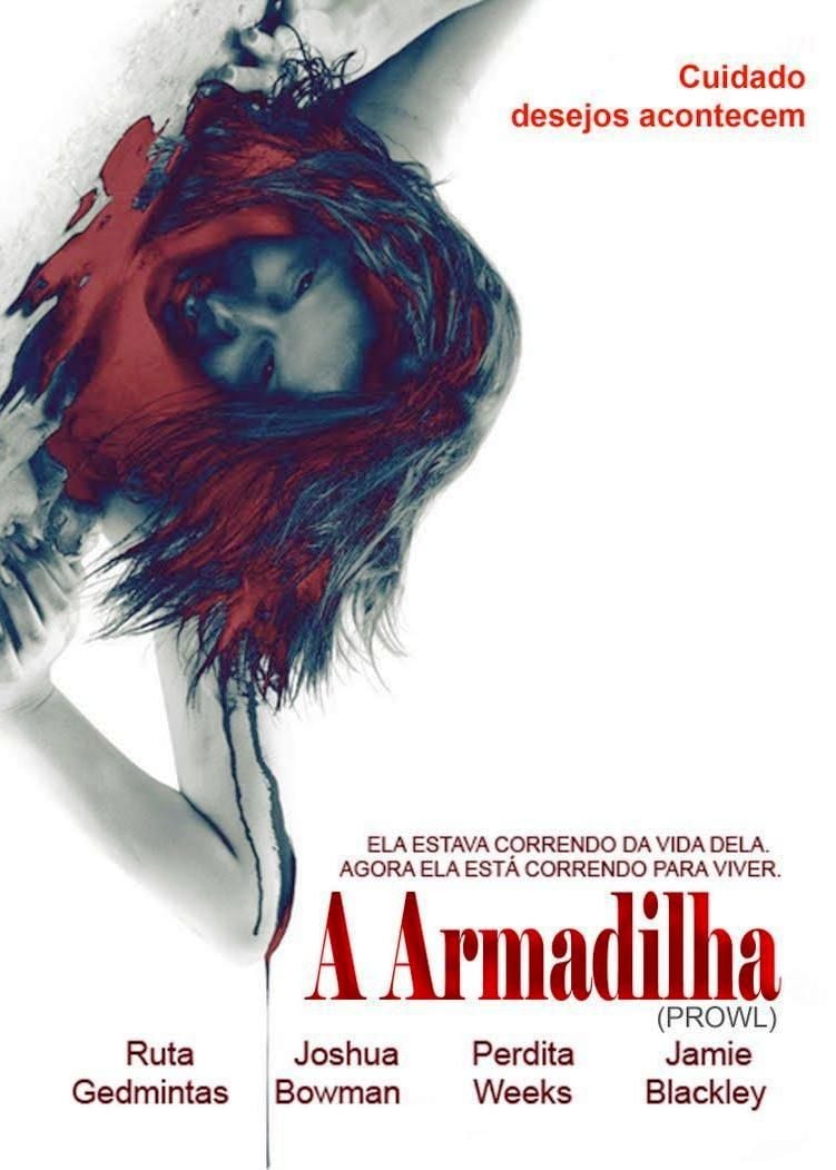A Armadilha - Filme 2010 - AdoroCinema