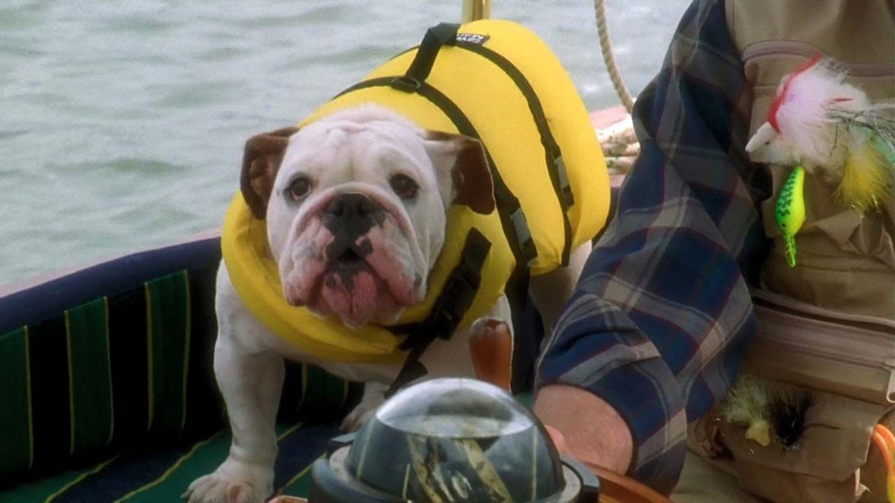 Foto do filme Mr. Magoo - Foto 2 de 10 - AdoroCinema