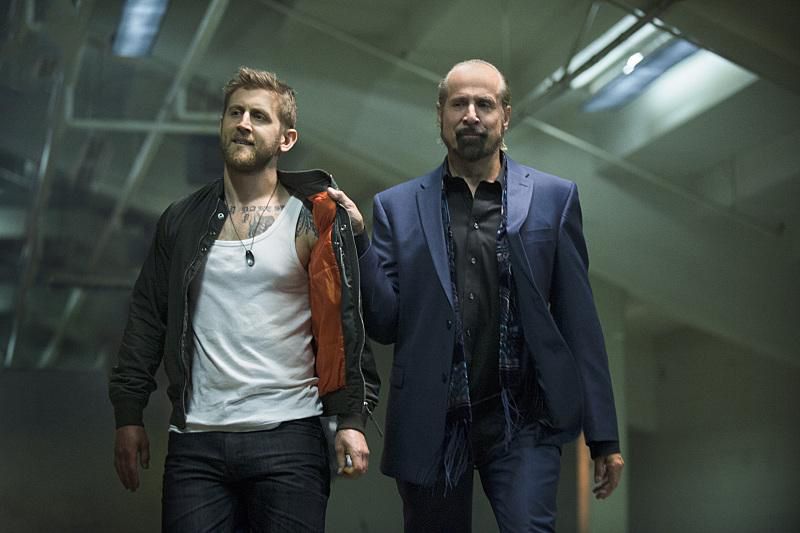 Arrow: Foto Peter Stormare - 560 no 1003 - AdoroCinema