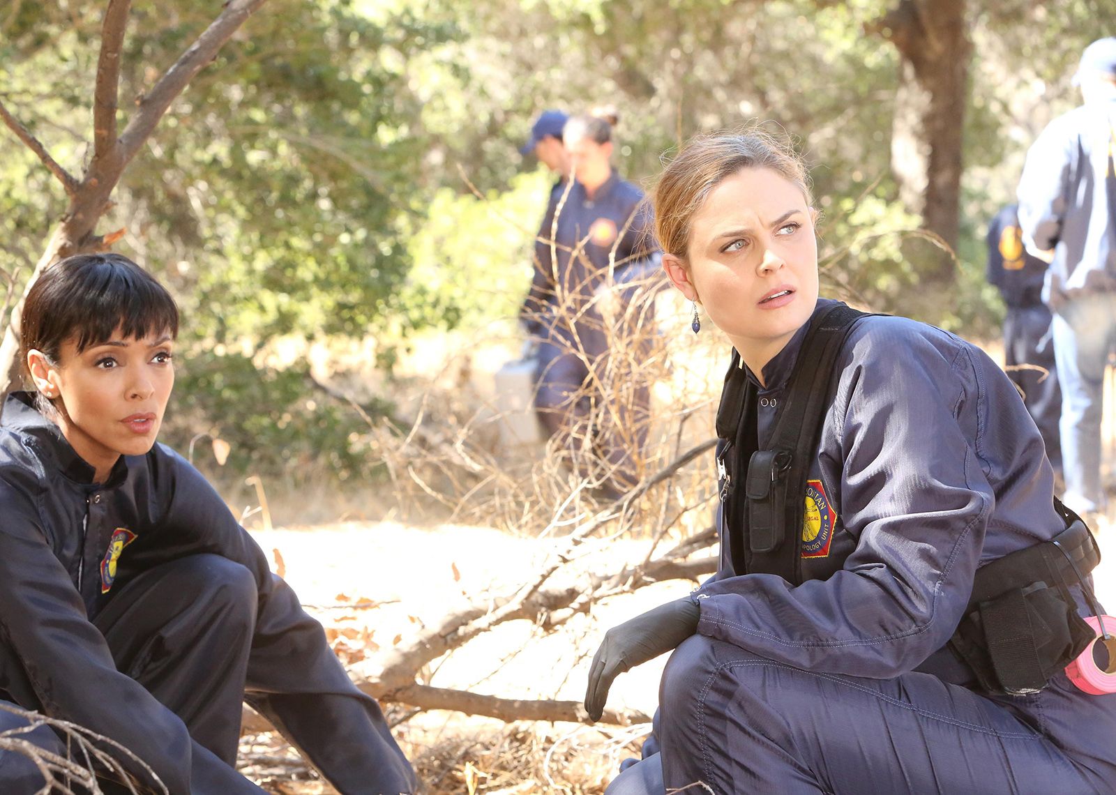 Foto de Tamara Taylor - Bones : Fotos Tamara Taylor, Emily Deschanel ...