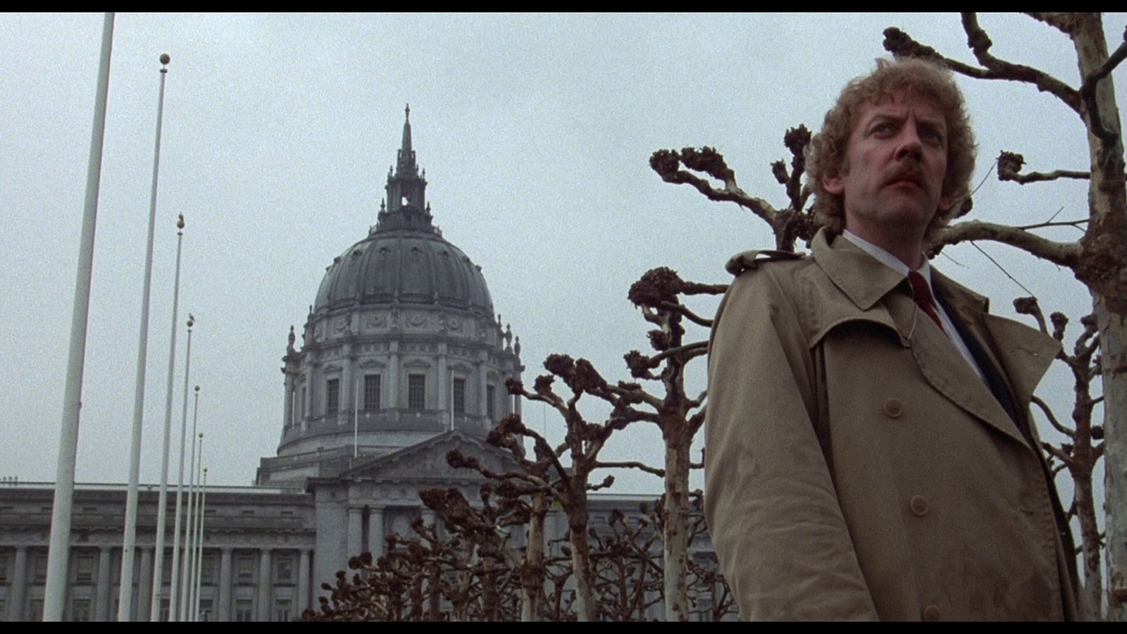 Foto do filme Os Invasores de Corpos - Foto 14 de 46 - AdoroCinema