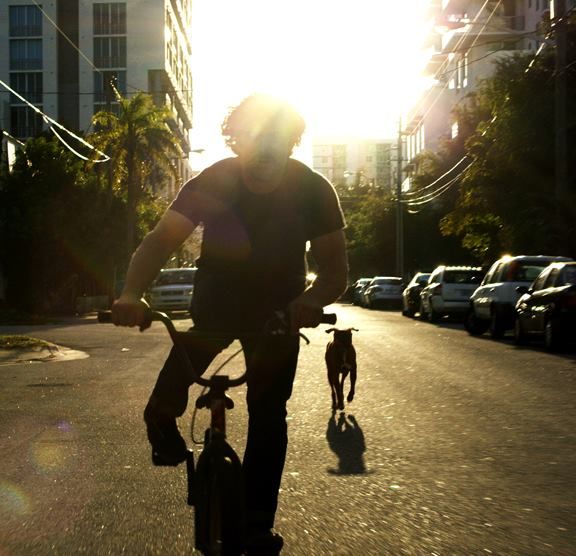 The Strongest Man - Filme 2014 - AdoroCinema