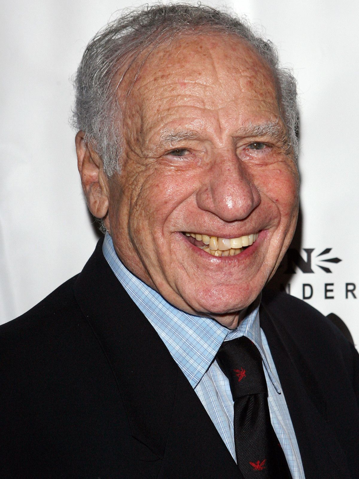 Mel Brooks : A biografia - AdoroCinema