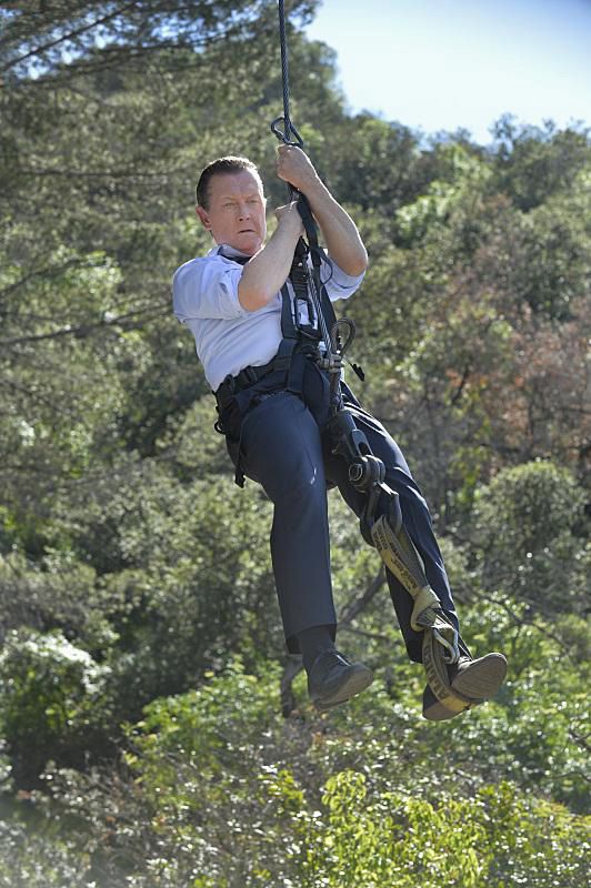 Scorpion : Scorpion : Fotos Robert Patrick - 314 no 452 - AdoroCinema