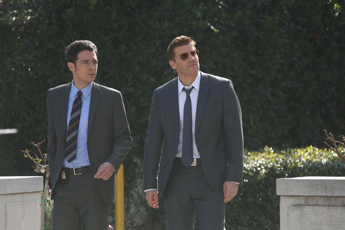 Bones : Bones : Fotos David Boreanaz - 60 no 633 - AdoroCinema