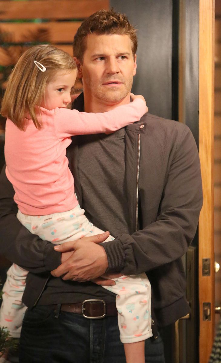 Bones : Bones : Fotos David Boreanaz - 39 no 633 - AdoroCinema