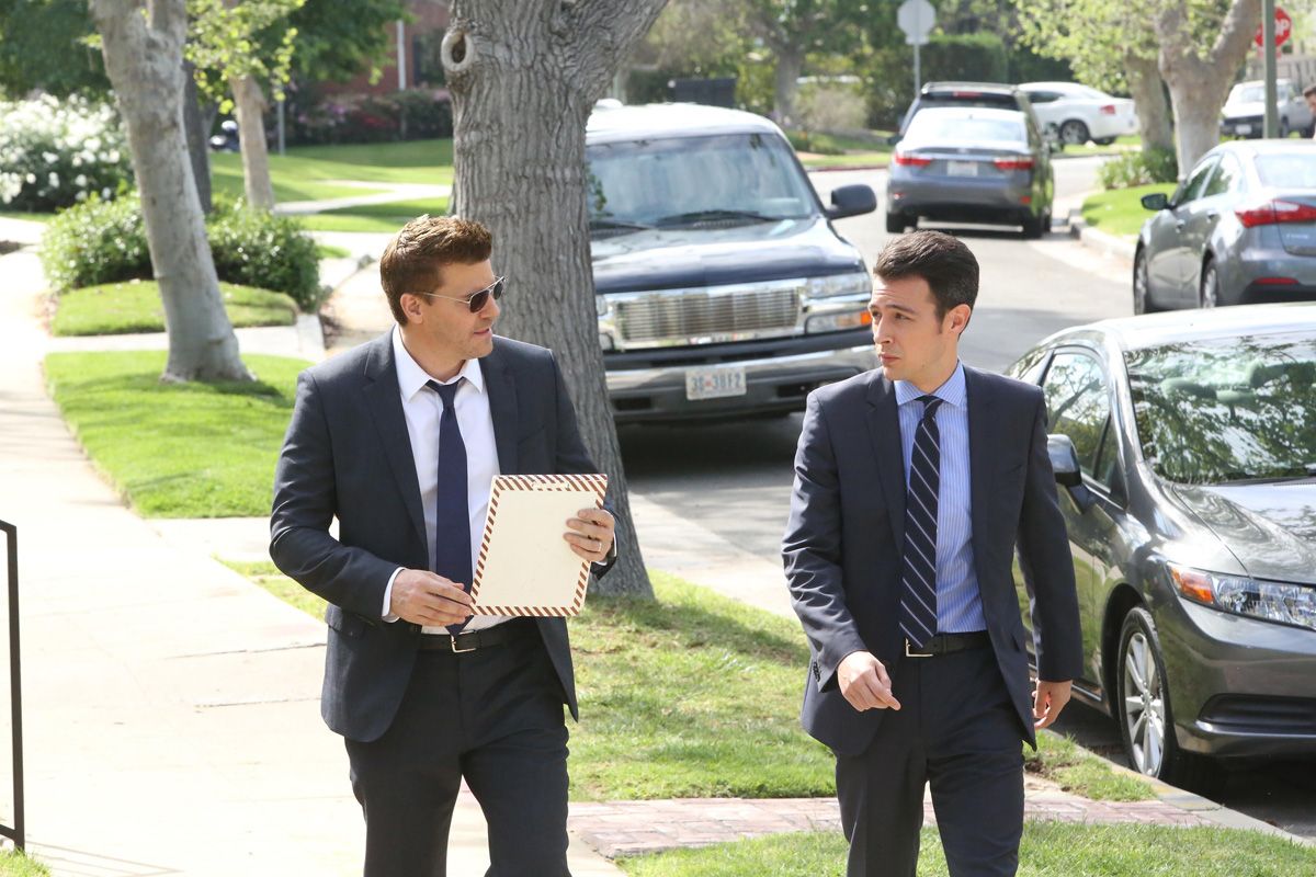 Bones : Bones : Fotos David Boreanaz - 37 no 633 - AdoroCinema
