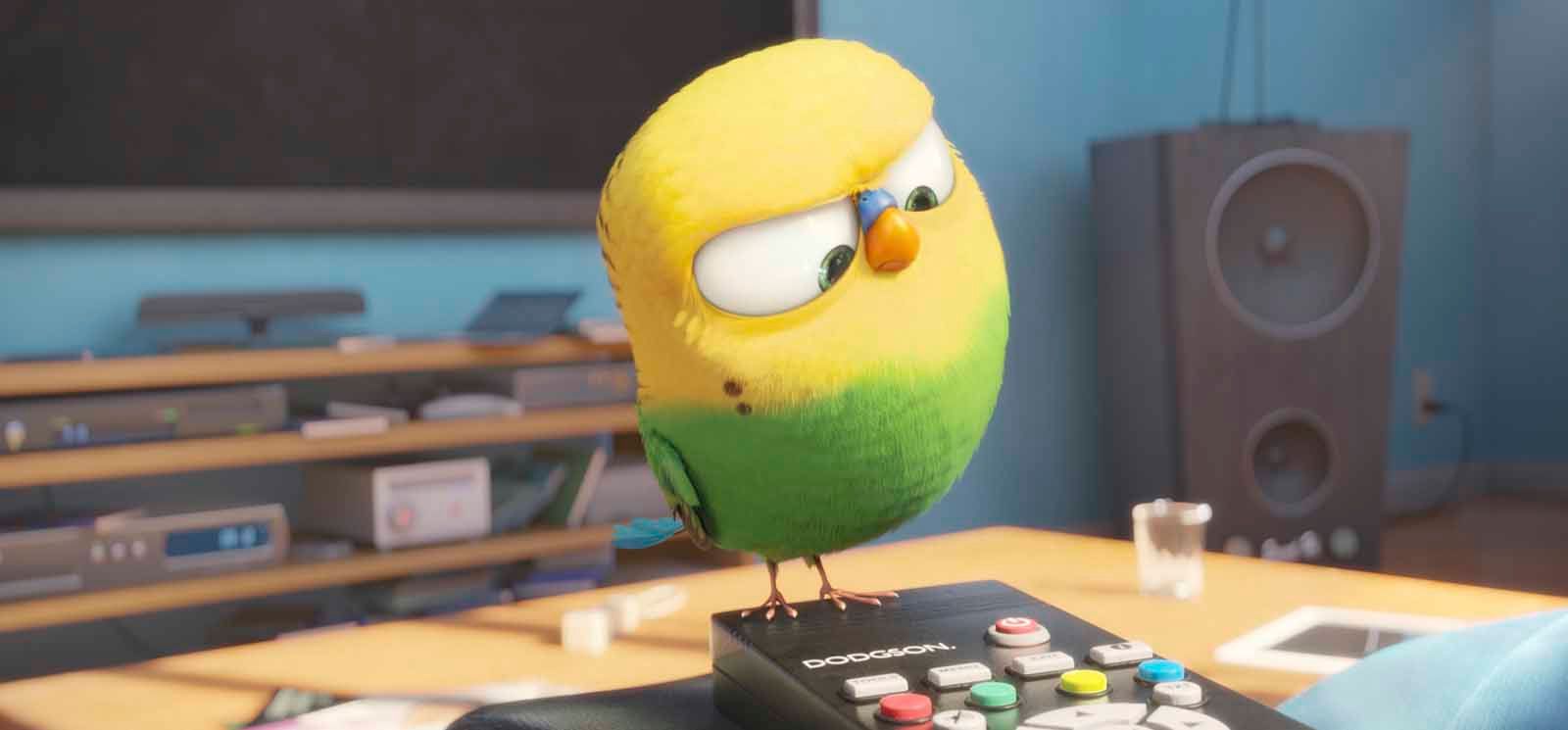 Foto do filme Pets: A Vida Secreta dos Bichos - Foto 45 de 50 - AdoroCinema