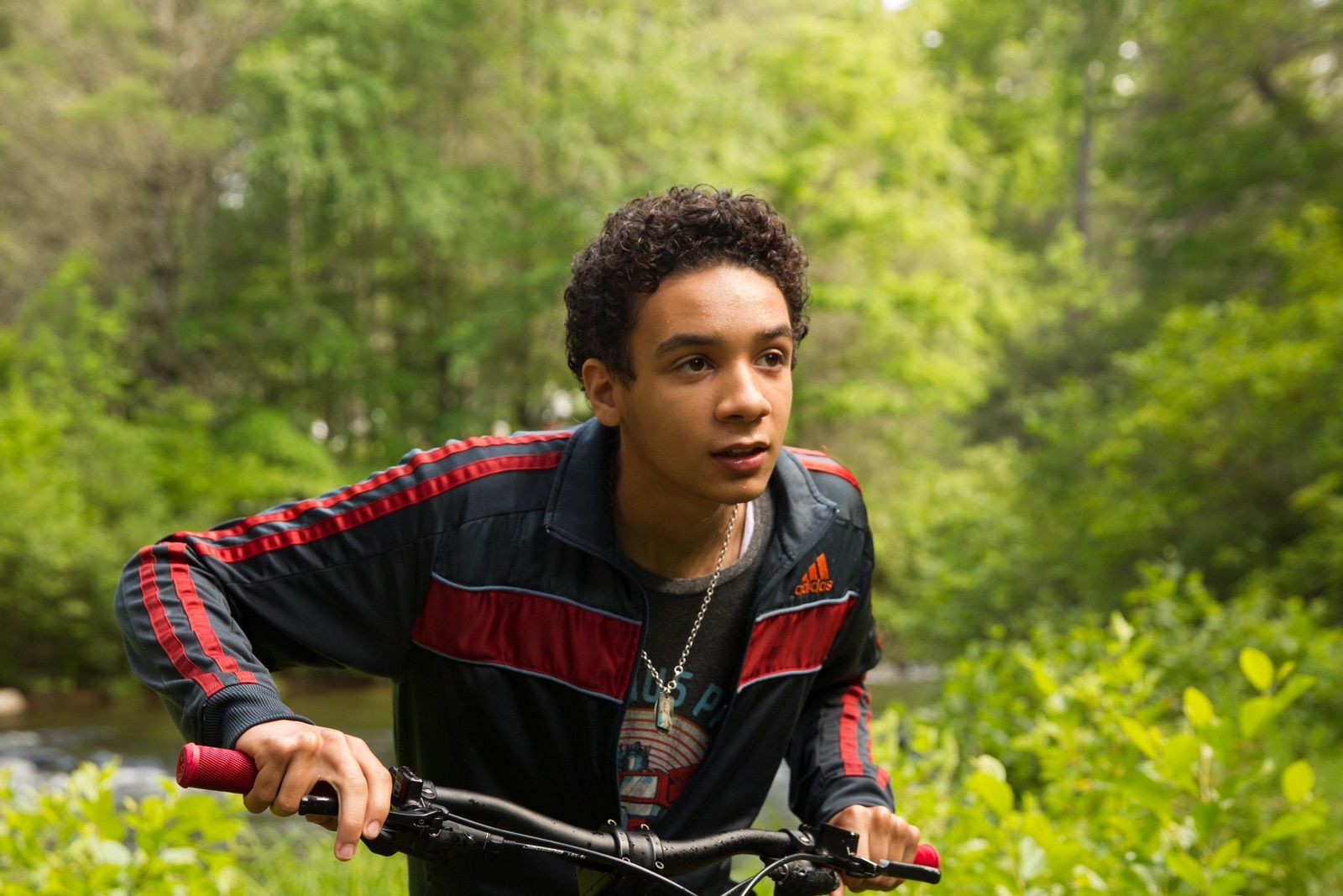 Foto do filme Max - O Cão Herói - Foto 26 de 34 - AdoroCinema