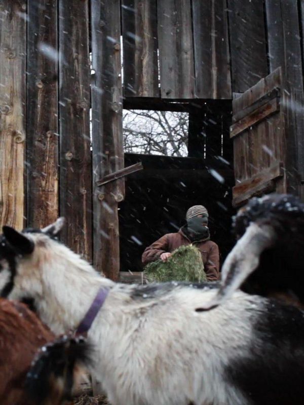 Boone - Documentário 2016 - AdoroCinema