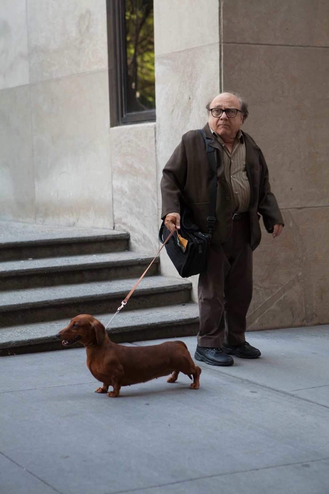 Foto de Danny DeVito - Wiener-Dog : Fotos Danny DeVito - Foto 51 de 95 ...