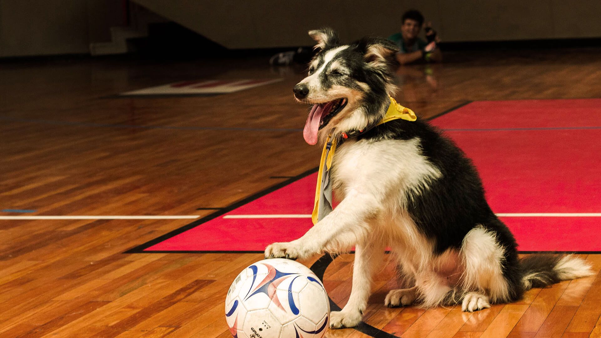 Foto do filme Carrossel 2 - O Sumiço de Maria Joaquina - Foto 39 de 55 ...