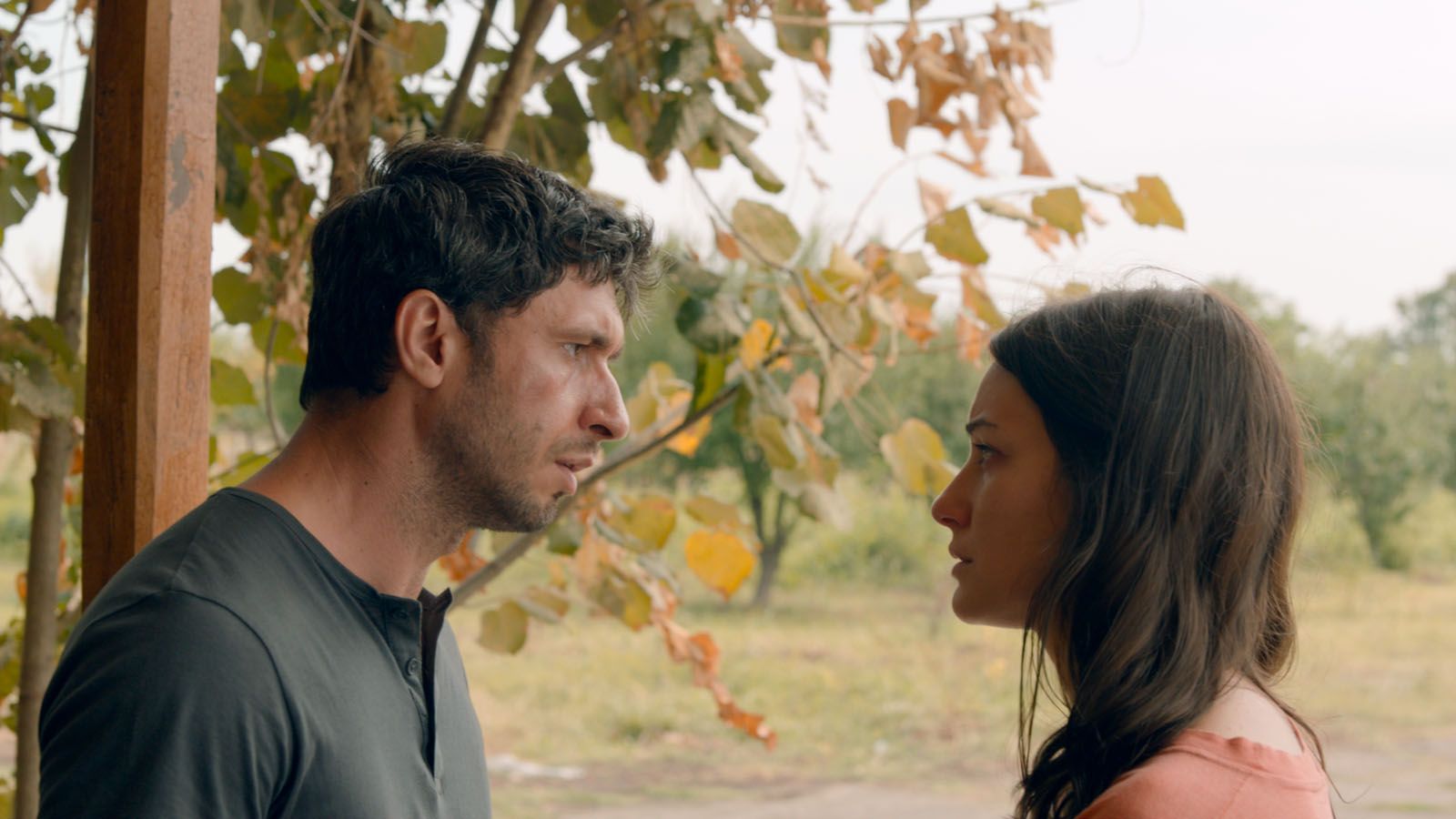 Foto do filme Dogs - Foto 7 de 15 - AdoroCinema