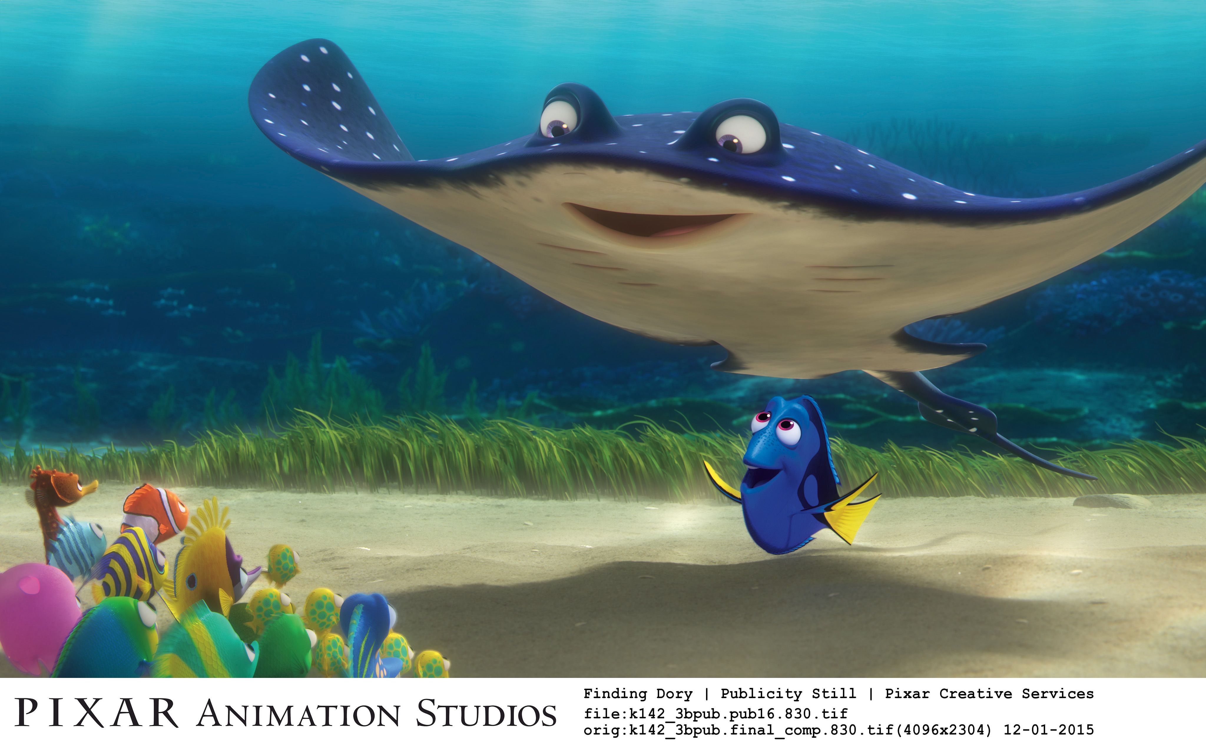 Foto do filme Procurando Dory - Foto 7 de 37 - AdoroCinema