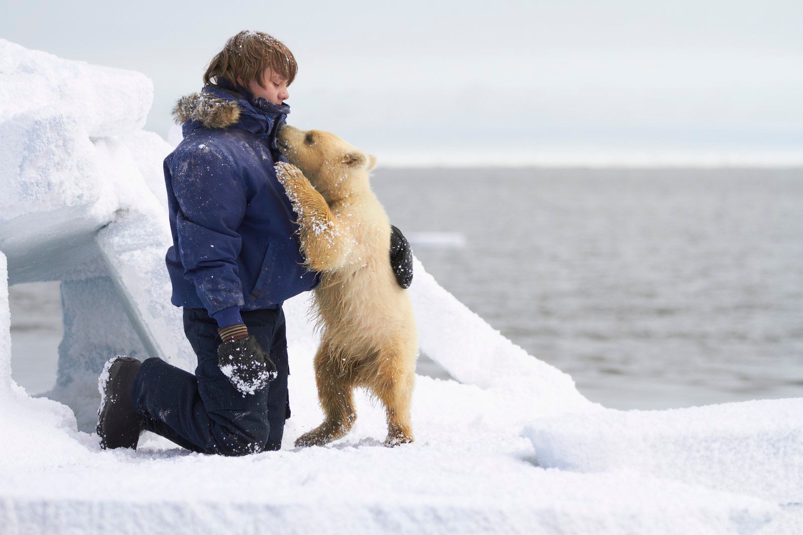Foto do filme O Menino e o Urso - Foto 8 de 10 - AdoroCinema
