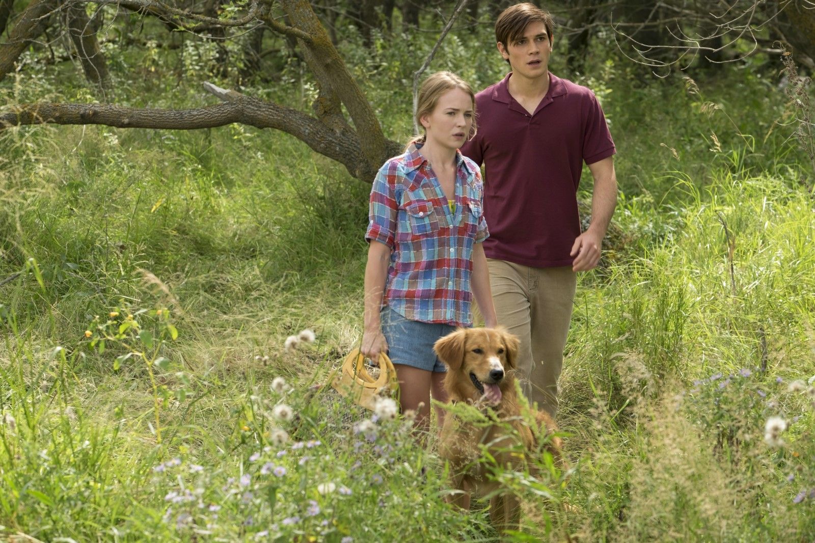 Foto do filme Quatro Vidas de um Cachorro - Foto 25 de 32 - AdoroCinema
